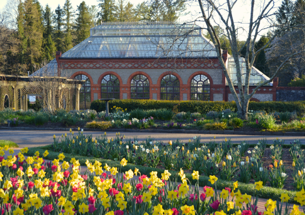 Spring at Biltmore | Greybeard Rentals