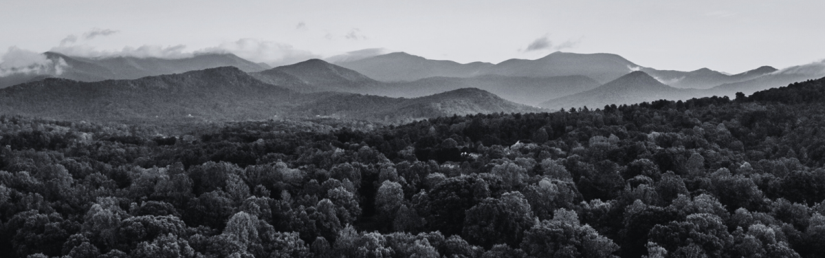 Updates | Greybeard Rentals